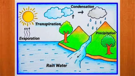 Image result for Water Cycle Step by Step Drawing