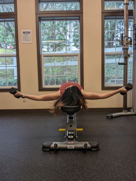 Image result for Chest Fly Exercise Drawing