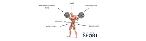 Image result for Specialisation of Force Vector Engineering