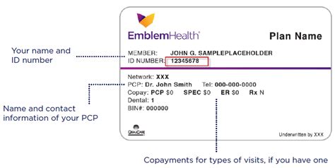 Image result for AmFirst Insurance Card Example