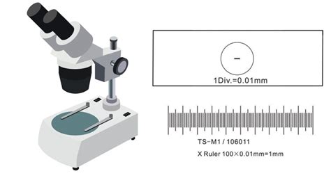 Image result for How to Calibrate Using Microscope