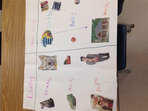 Image result for Example of Student Work Sample