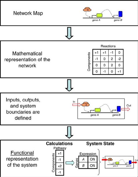 Image result for System Definition Science