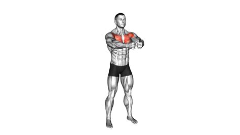 Image result for Standing Chest Fly Exercise