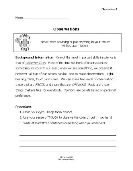 Image result for Primary Lesson Observation