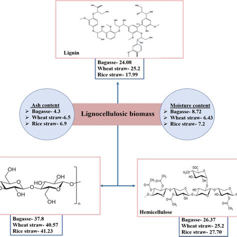 Image result for Bioethanol Molecular Structure