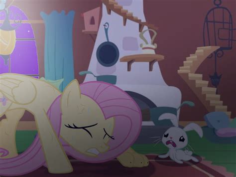 Image result for MLP Transformation