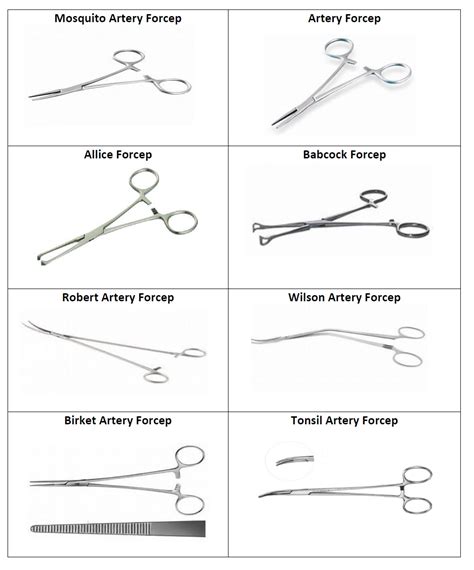 Image result for Types of Forceps