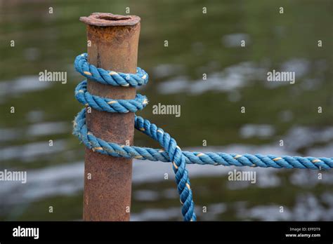 Image result for Spring Pole Knot