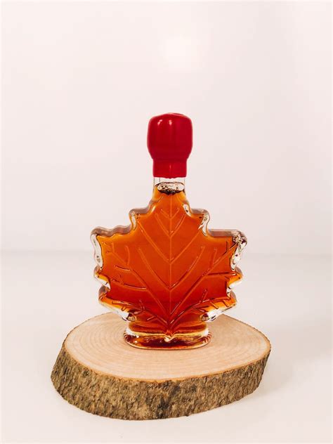 Image result for Maple Syrup Tree Leaf