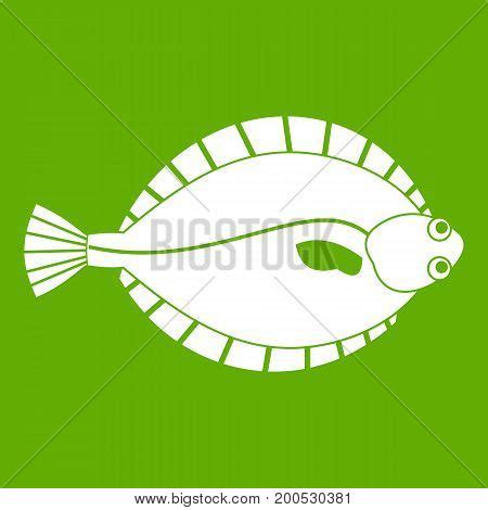 Image result for Flonarvector Files