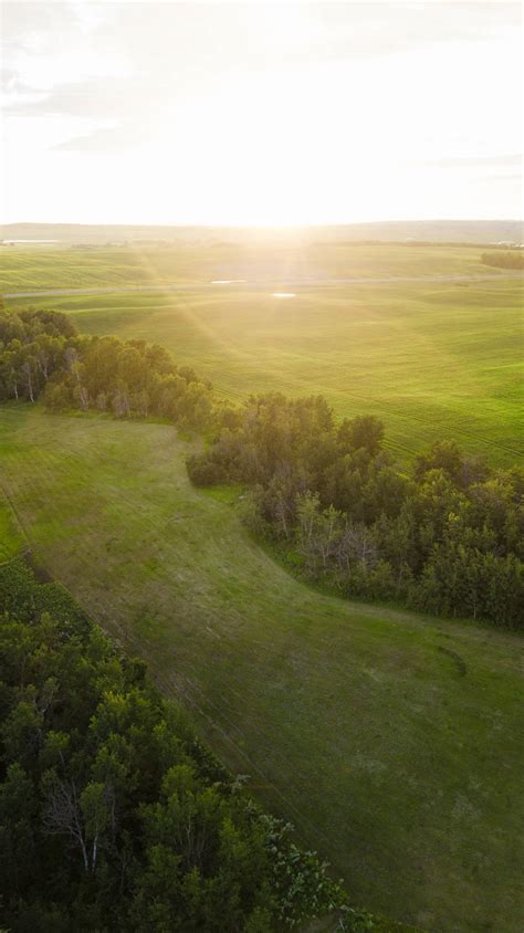 Image result for Golf Course Background Images