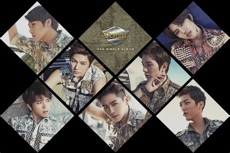 Image result for Infinite Destiny