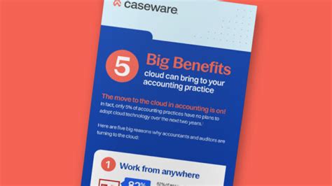 Image result for CaseWare Ccountign Softae Example