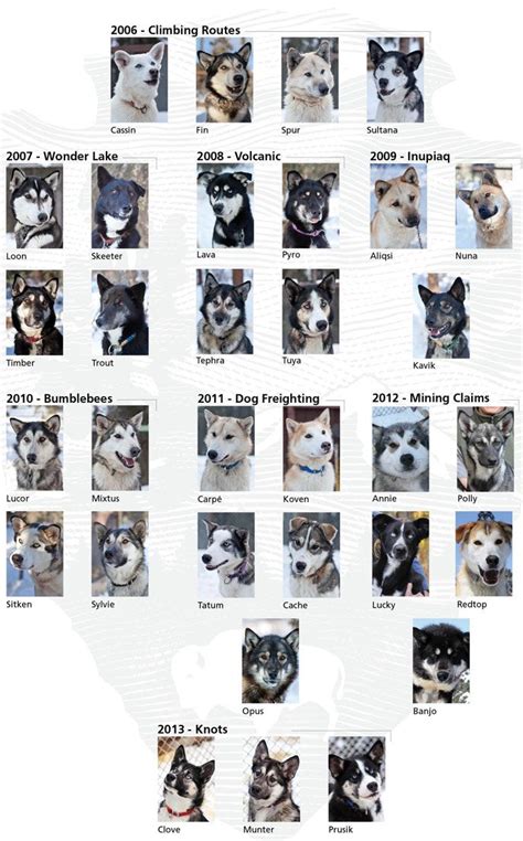 Image result for Snow Dogs Names