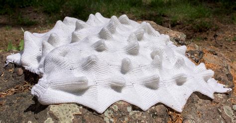 Image result for Mapper Movement