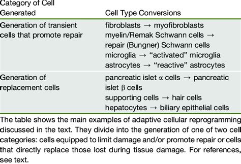 Image result for Cell Reprogramming