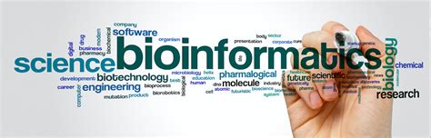 Image result for Biomedical Informatics