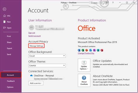 Image result for How to Insert Text in OneNote