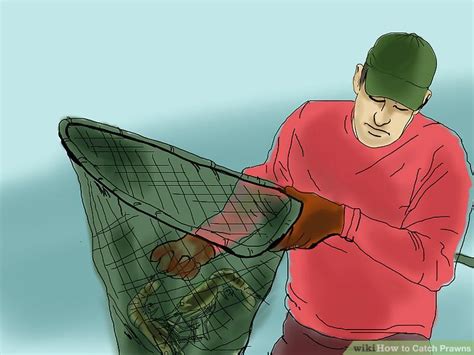 Image result for Catching Prawns