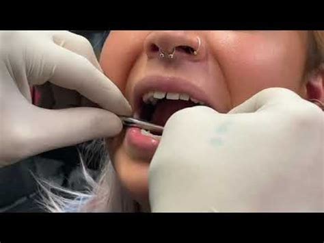 Image result for Watch a Freulum Piercing