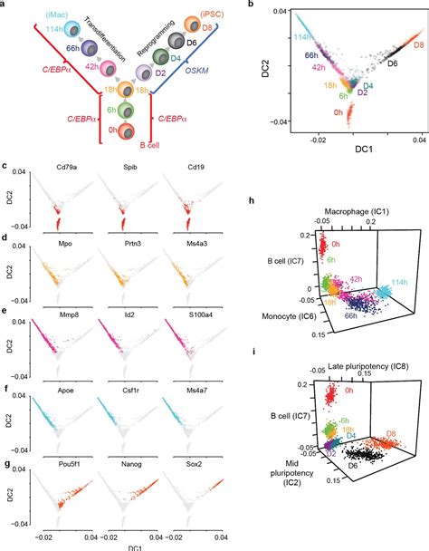 Image result for Below Threshold Reprogramming