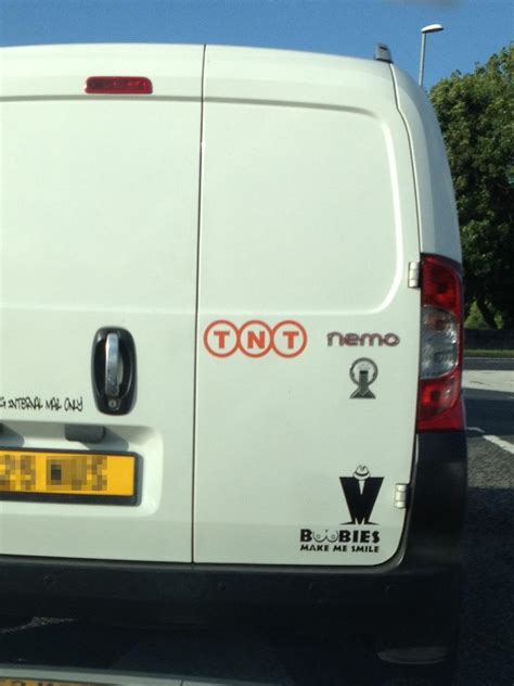 Image result for Yolo Python Projects