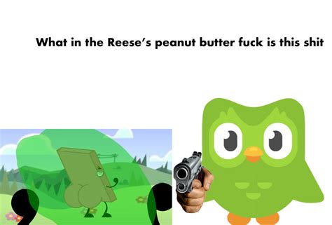 Image result for BFDI YoutubePoop