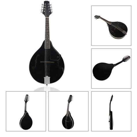 Image result for 6 String Mandolin