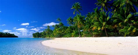 Image result for HD Multi-Screen