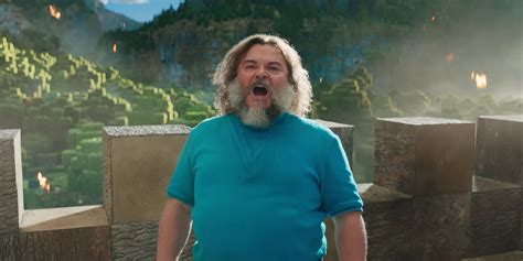 Image result for Elytra Guide