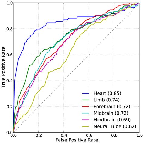 Image result for Expression Enhancer