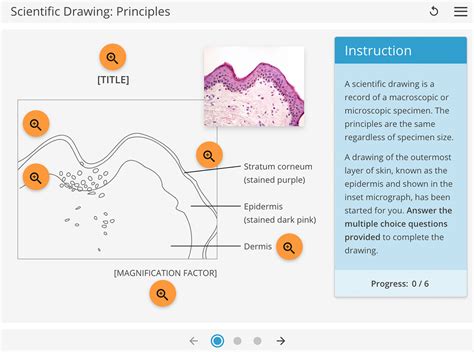 Image result for Basic Principles of Biomedical Drawing