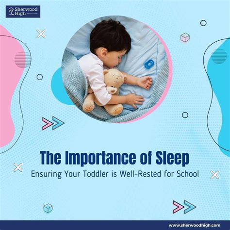 Image result for Sleep Is Essential for Learning