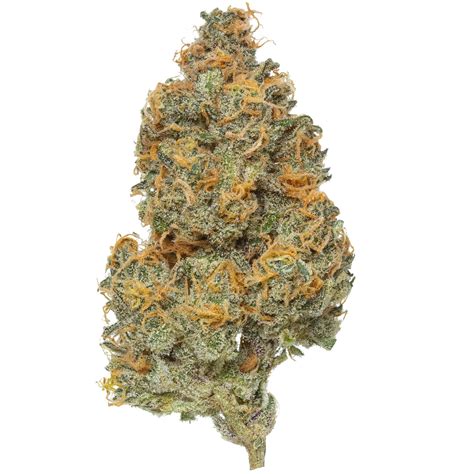 Image result for Alien Milk