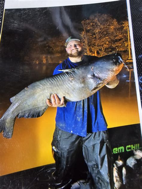 Image result for Snakehead Fish Hunting