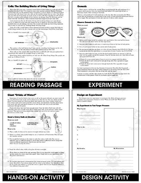 Image result for Simple Science Teaching Aids