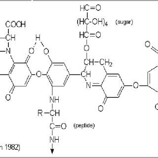 Image result for Humic Acid Structure
