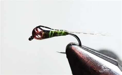 Image result for Pleava Perdigon Fly Pattern