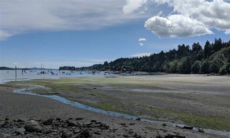 Image result for Salt Spring Island Fish Market