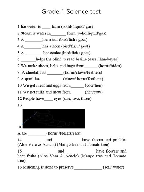 Image result for 2nd Grade Science Test Questions and Answers
