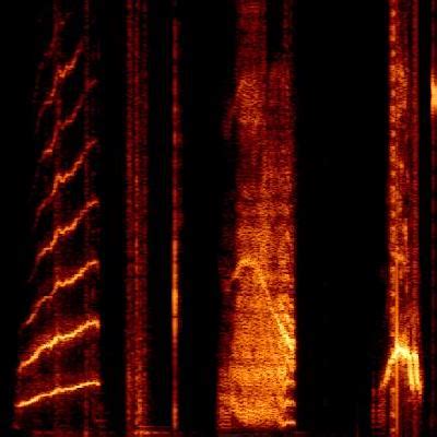 Image result for Noisereduce Python Package