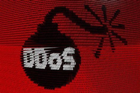 Image result for How to DDoS a Website Using Python