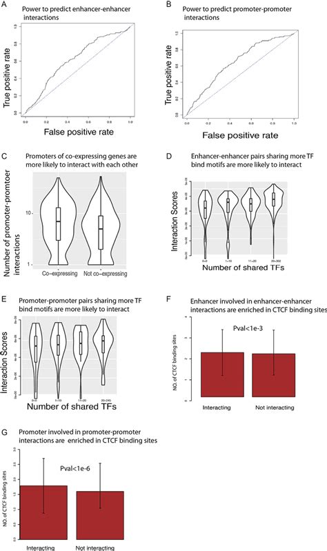Image result for enhancer elements