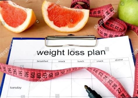 Image result for WW Tutorial 2022 Plan