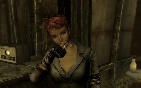 Image result for How to Mod Fallout New Vegas Using Vortex