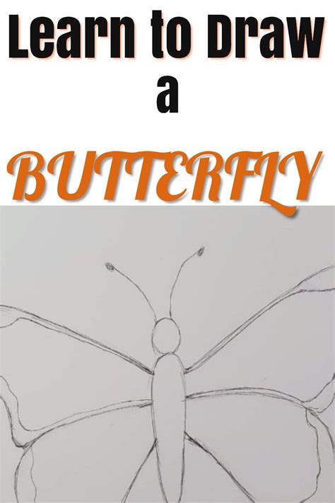 Image result for How to Draw a Simple Butterfly