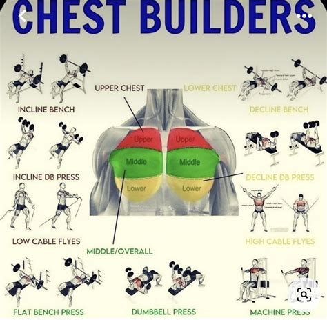 Image result for Upper Inner Back Exercises