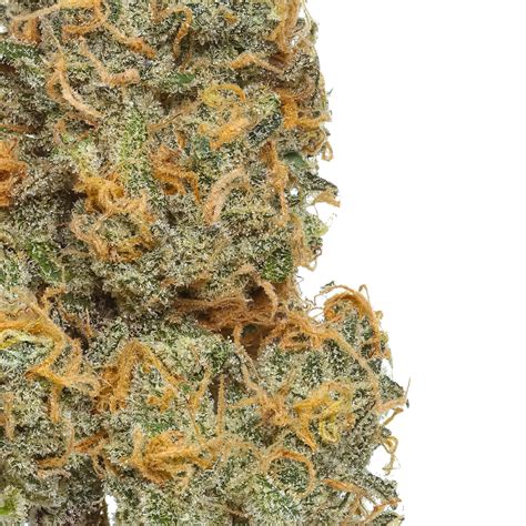 Image result for Alien Milk