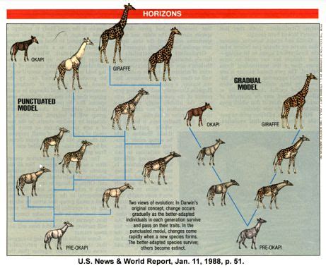 Image result for Microevolution